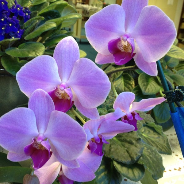 Chattanooga Public Library - Downtown Chattanooga - 1001 Broad St