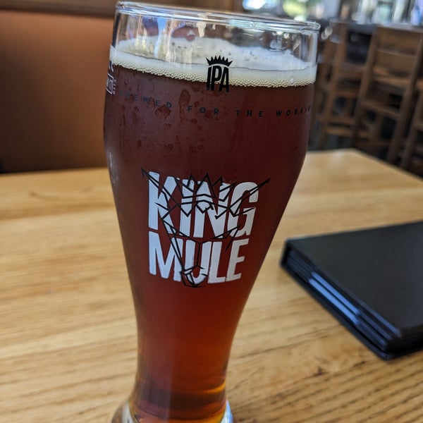 Mussel Bar & Grille - American Restaurant