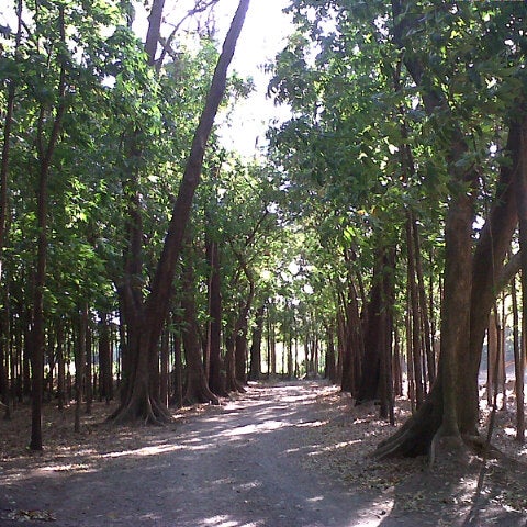 Lingap Kalikasan Park (CLSU) - Science City of Muñoz, Nueva Ecija