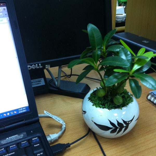 TMA Solutions - Lab 4 - Office in Hồ Chí Minh