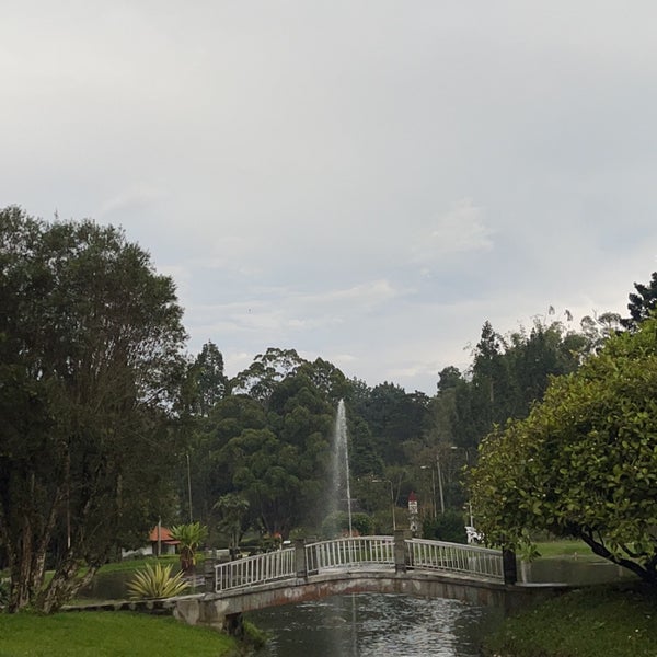 Kebun Raya Taman Wisata Cibodas - Garden
