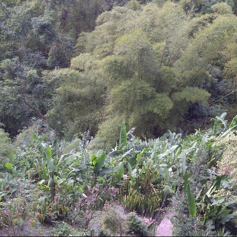 Straun Castle Gardens - 1 tip