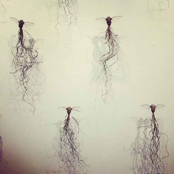 The Carrack - Art Gallery in Durham