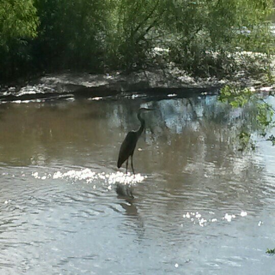 Sim Memorial Park - Park in Wichita