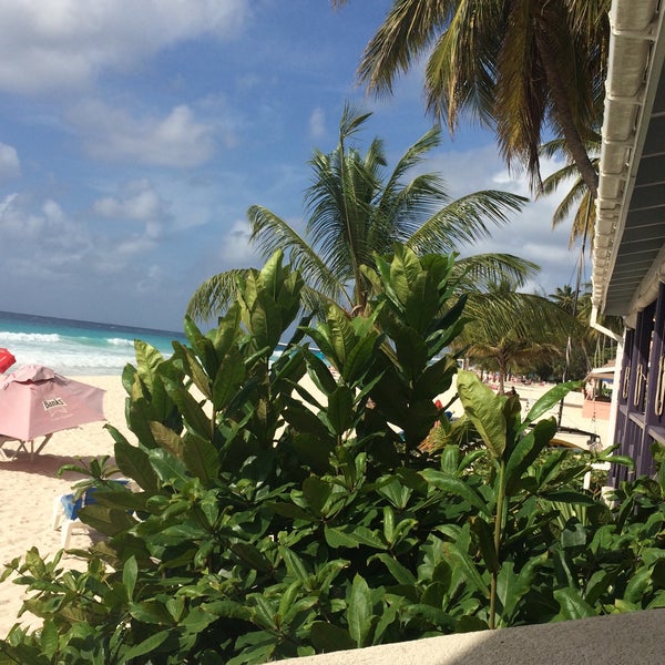 Dover Beach Park - 10 tips from 204 visitors