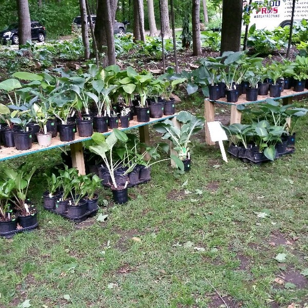 Holy Hosta Farm - Garden Center in Rockford
