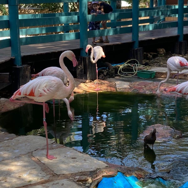 Haifa Zoo - 15 tips from 328 visitors