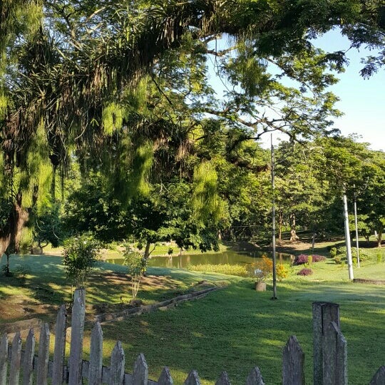 Photos at Palmiste Park - Park in Palmiste