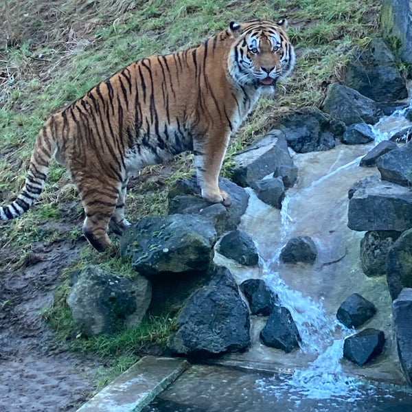 Zoo Neuwied - Neuwied, Rheinland-Pfalz