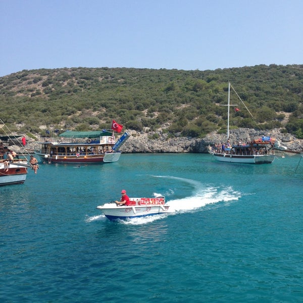 Photos at Akvaryum Koyu - Bay