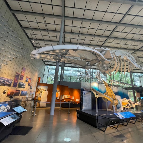 Morrison Planetarium - Golden Gate Park - 29 tips from 3520 visitors