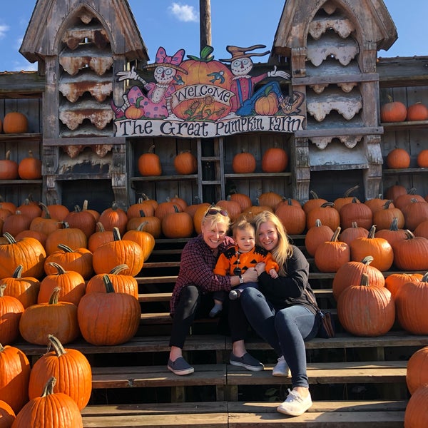 The Great Pumpkin Farm - 13 tips from 980 visitors