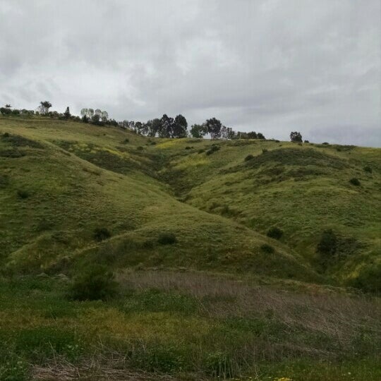 Photos at Chapparosa Park - Park