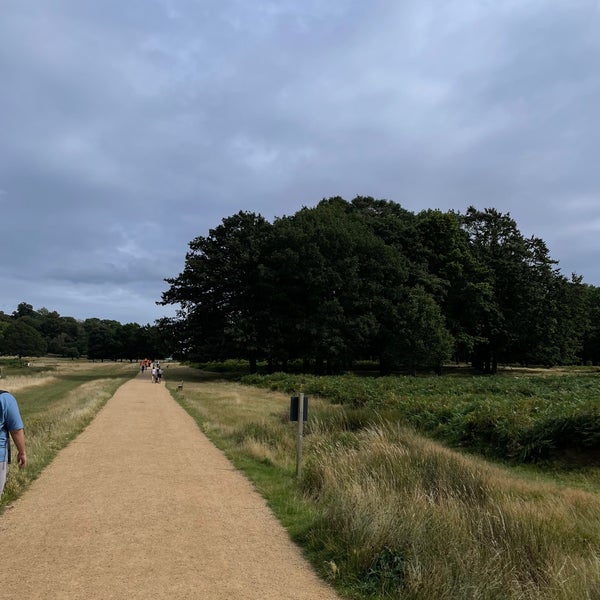 Wimbledon Common - Wandsworth - 32 tips from 1913 visitors