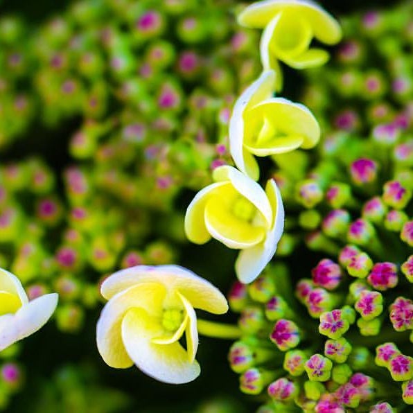 Photos at The Bud Stop - Union Street - 3 tips from 324 visitors