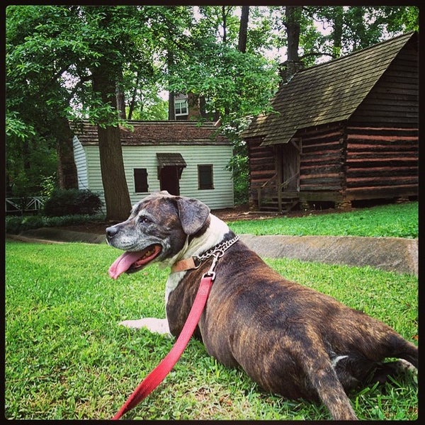 Adair Park - Adair Street