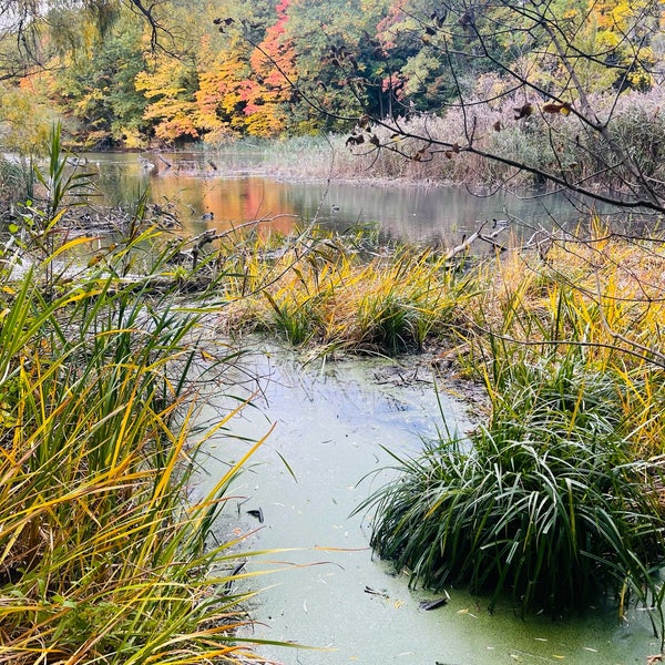 High Park - Park in Toronto
