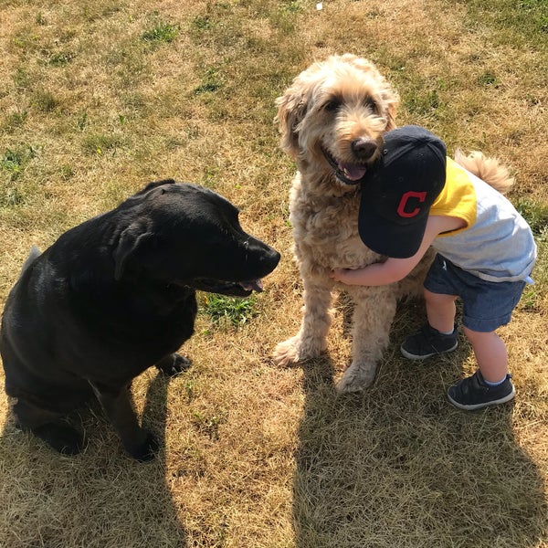 Broad Ripple Baseball Park - Broad Ripple - Indianapolis, IN