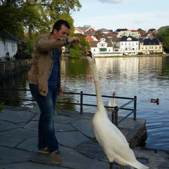 Photos at Torget - Stavanger, Rogaland