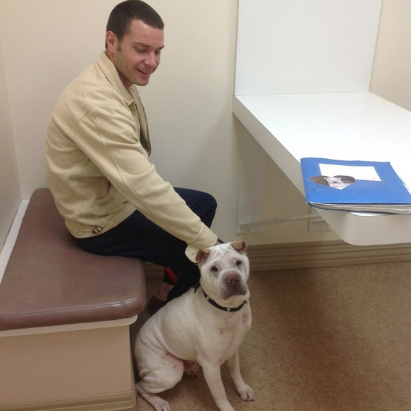 Cameron Veterinary Hospital - Veterinarian in Sunnyvale