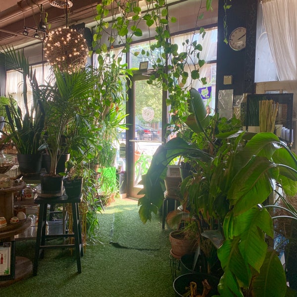 iwi Fresh - Hair Salon in Atlanta