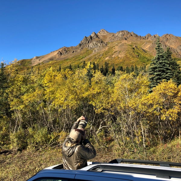 Photos at Denali National Park & Preserve - National Park