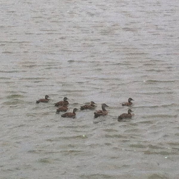 Photos at Grand Casino Hinckly Outdoor Ampitheater - Hinckley, MN