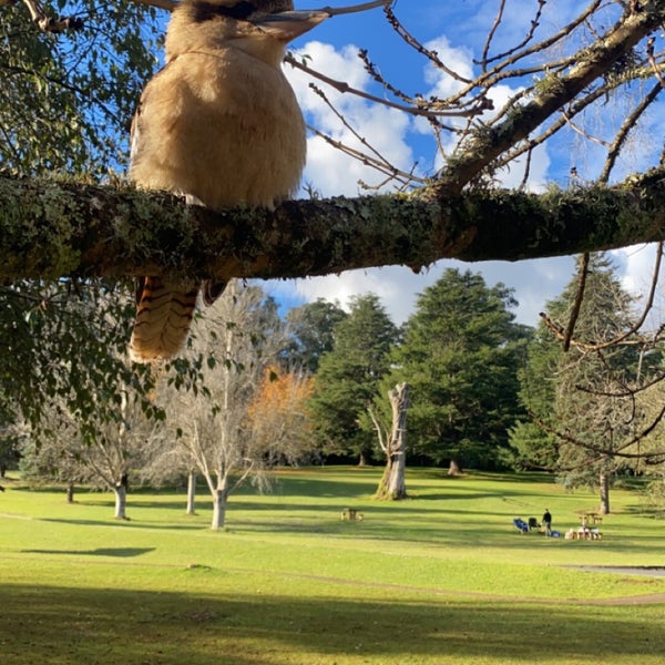 Silvan Reservoir Park - Hiking Trail in Silvan
