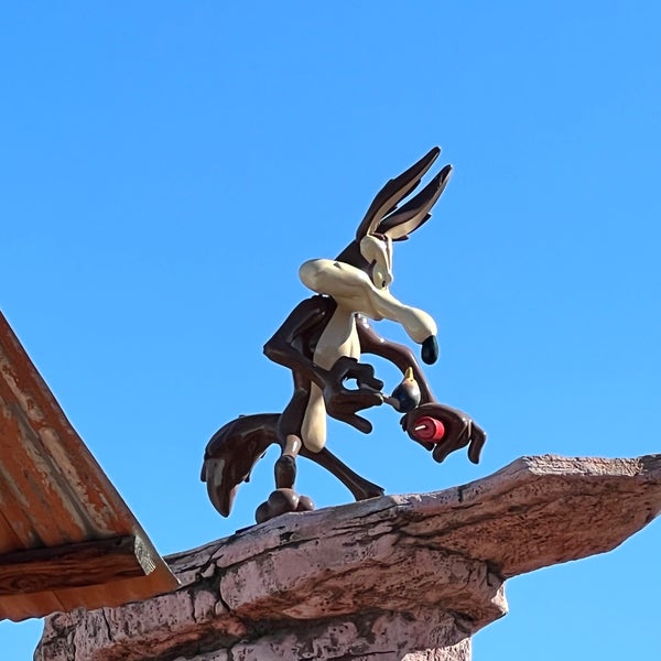 Wile E Coyote Grand Canyon | Wile E. Coyote Canyon Blaster at Six Flags ...