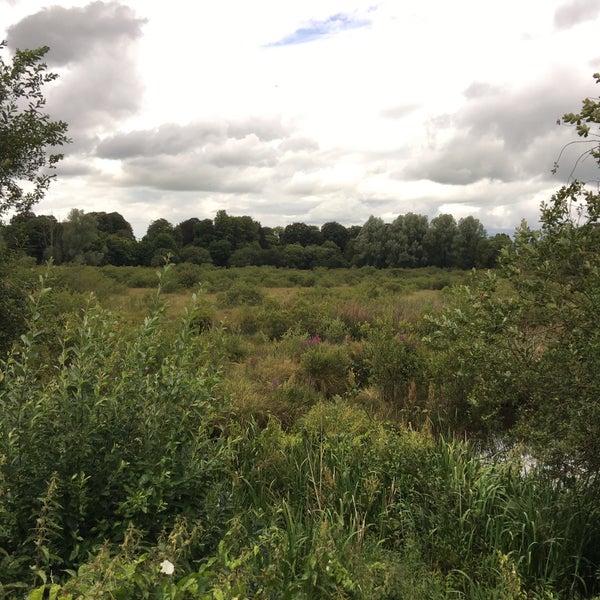 Newpark Marsh Park - Park in Kilkenny