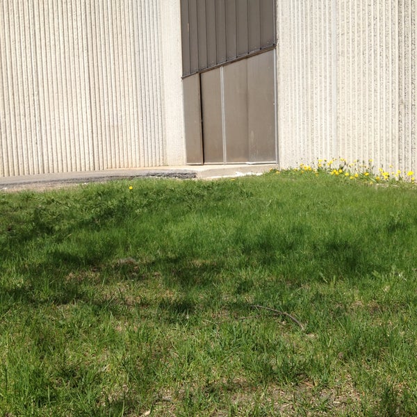 Walter Baker Swimming Pool - 2 tips from 61 visitors