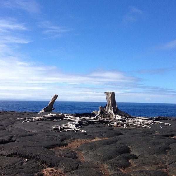 MacKenzie State Park