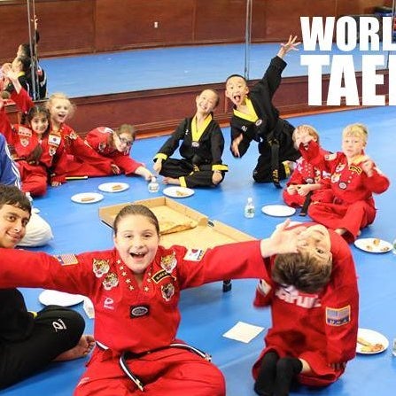 Woodbridge World Champion Taekwondo - Amity - 2 tips