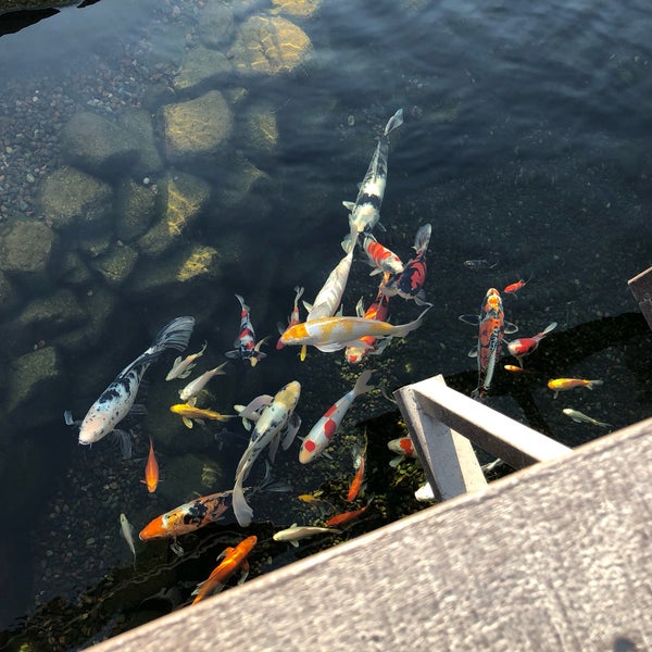 The Pond At Casey Orchards - Wedding Hall in North Redlands