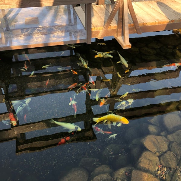 The Pond At Casey Orchards - Wedding Hall in North Redlands
