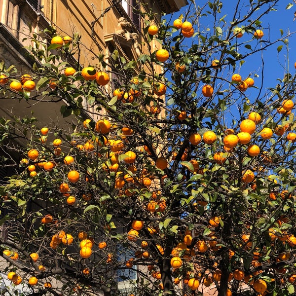 Piazza Fiume - Plaza in Roma