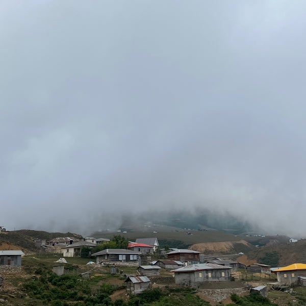 Punel Forest | جنگل پونل - Forest