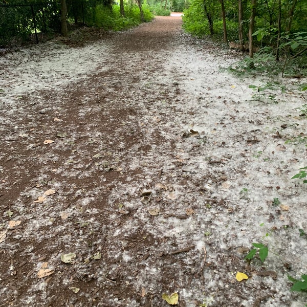Leatherstocking Trail - Other Great Outdoors