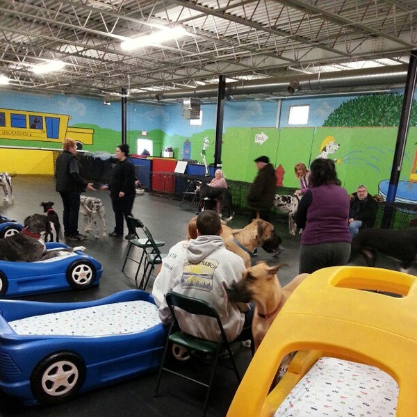 Canines Unleashed - Liverpool, NY