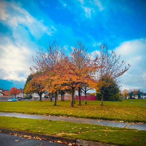 Marion Park - Marion Road