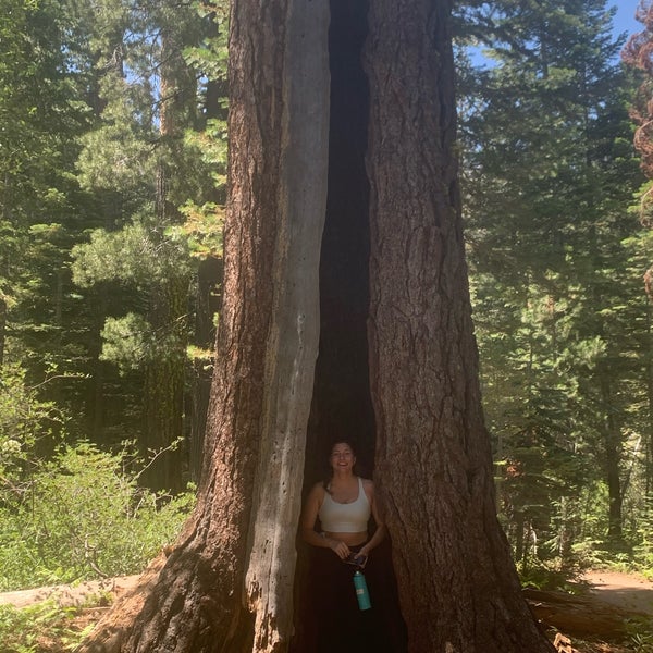 Shirley Lake Trail - Hiking Trail
