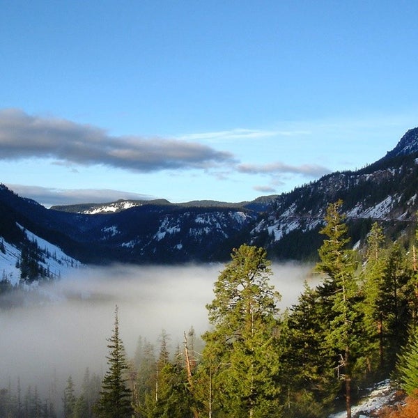 White Pass - Road in Naches