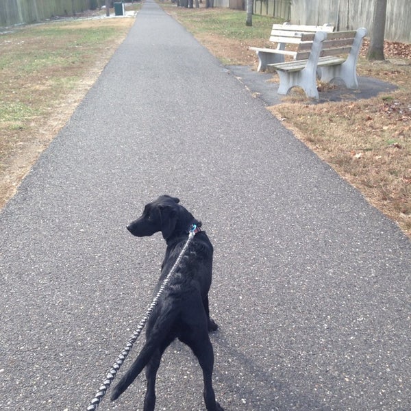 Linwood Bikepath - Track in Linwood