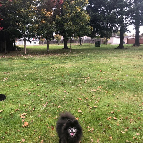 Photos at Ernie Winch Park - Burnaby, BC