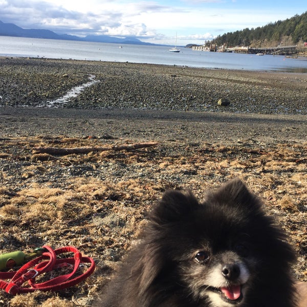 Vesuvius Beach Salt Spring Island - Salt Spring Island, BC