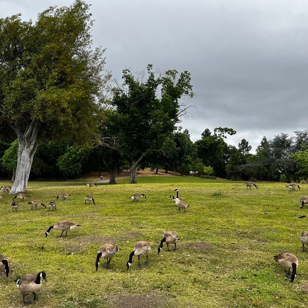 Photos at Vasona Lake County Park - 333 Blossom Hill Rd
