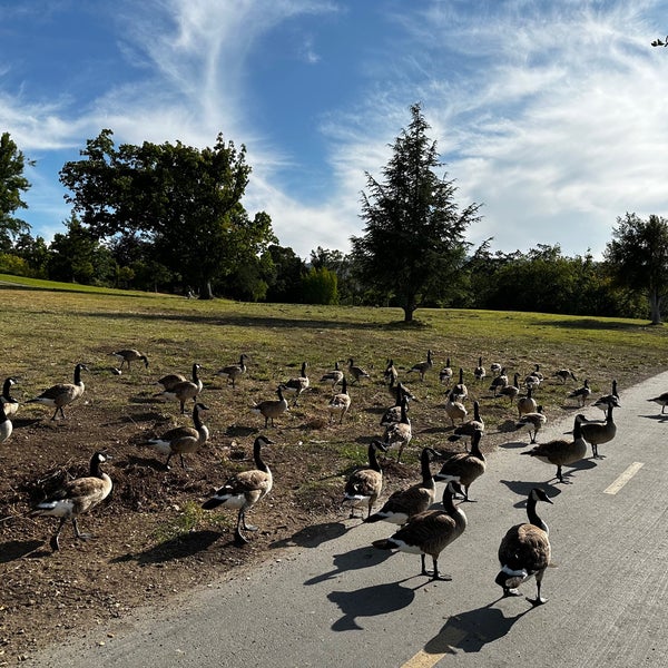 Photos at Vasona Lake County Park - 333 Blossom Hill Rd
