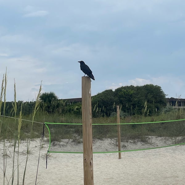 Folly Field Beach - Beach