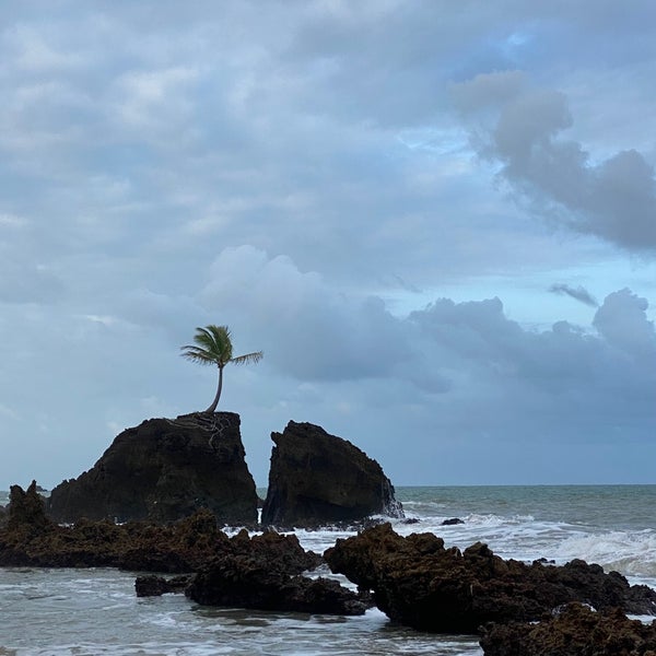 Praia de Tambaba - Nudist Beach in Conde