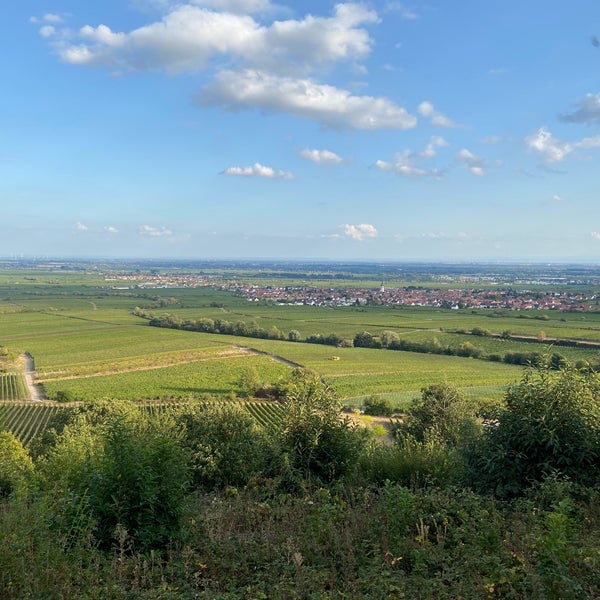 Zeter Berghaus - Diedesfeld - 1 tip